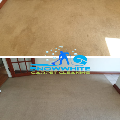 Affordable Carpet Cleaning Perth | Stain Removal | Perth and Mandurah